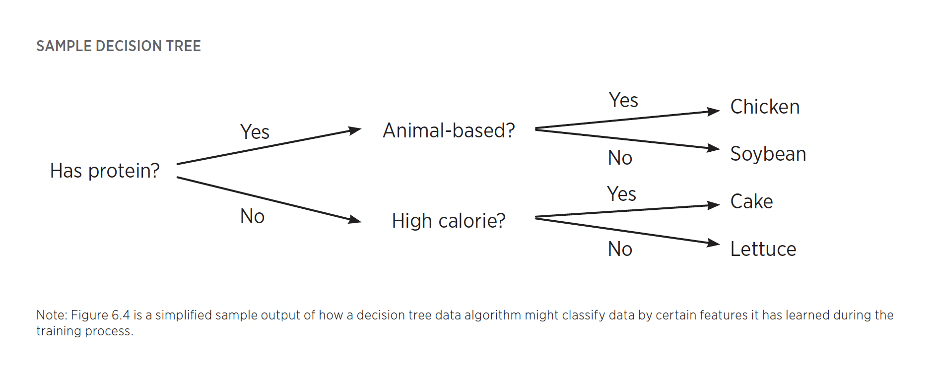 AI Policy Guide: Algorithms | Mercatus Center